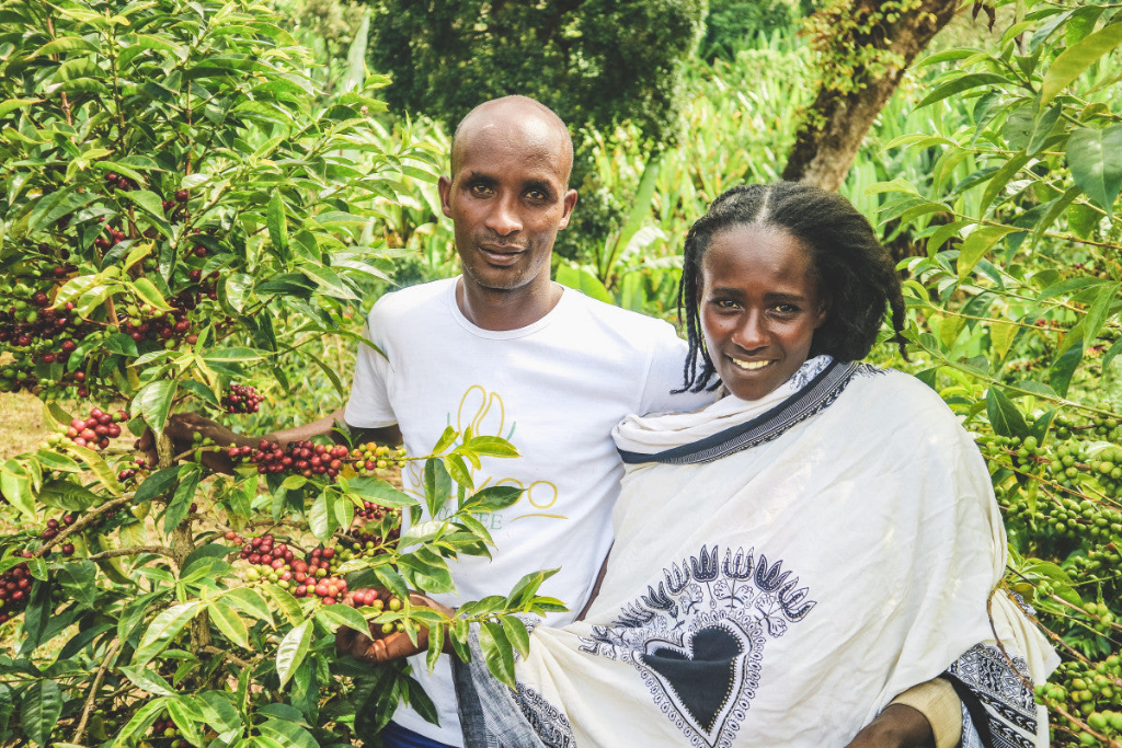 Etiopija - Uraga Raro Nansebo – Koppa coffee